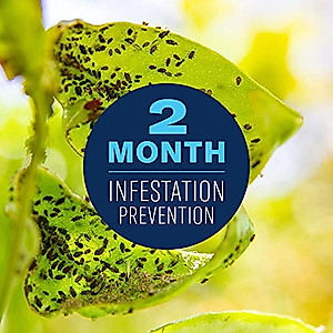 BioAdvanced Fruit, Citrus & Vegetable Insect Control, Concentrate, 32 oz