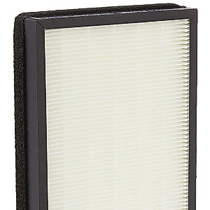 Rowenta XD6074 True HEPA Filter Allergen Remover for PU4020 and PU4081 Intense Pure Air Bedroom Auto Purifier, Black, 46 in