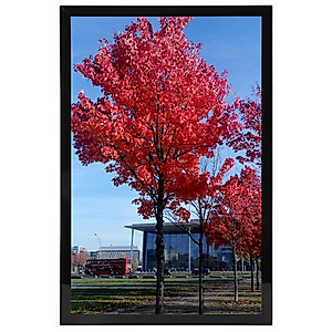 Medog 11x14 Picture Frame Black Poster Frame 11x14 8x10 Picture Frame In Black With Mat Opening 8x10 Set of 1 Display Pictures 11x14 Inch or 8x10 Black Picture Frame Wall Mounting (P1U 1P BA)