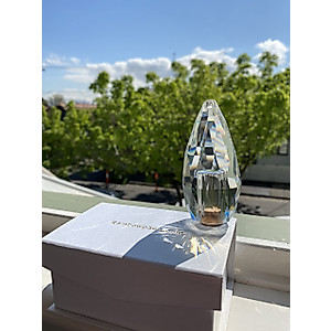 FINIC Pet Memorial Keepsake Urn, Thoughtful Remembrance Gift for Grieving Pet Owners