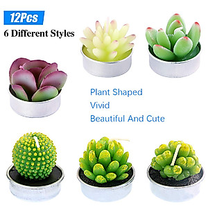 Glarks Cute Tea Lights Tealight Candles, Succulent Cactus for Birthday Party Valentine's Day Wedding Spa Home Decor and DIY Gift, 12Pcs a Pack