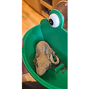 2 Pieces Frog Habitat with Dual Suction Cups Cute Fish Tank for Amphibian Aquatic Toad Frog Tadpole Tree Frog Small Aquatic Animals