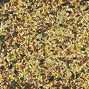 Kaytee All American Wild Bird Food, 18 lb.