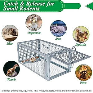 2 Packs Humane Rat Trap Outdoor Mouse Traps Indoor Use, Rodent Chipmunk Traps for Small Live Animal Catch and Release