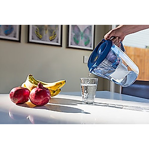 REPLACEMENT FILTER for Epic Pure Water Pitcher or Dispenser / 150 Gallon Long Last Filter | BPA Free.