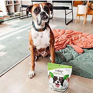 V-Planet Kind Jerky - 100% Vegan Jerky Dog Treats - Plant Based Protein and Superfoods - 8 Ounce - All Natural - Made in The USA