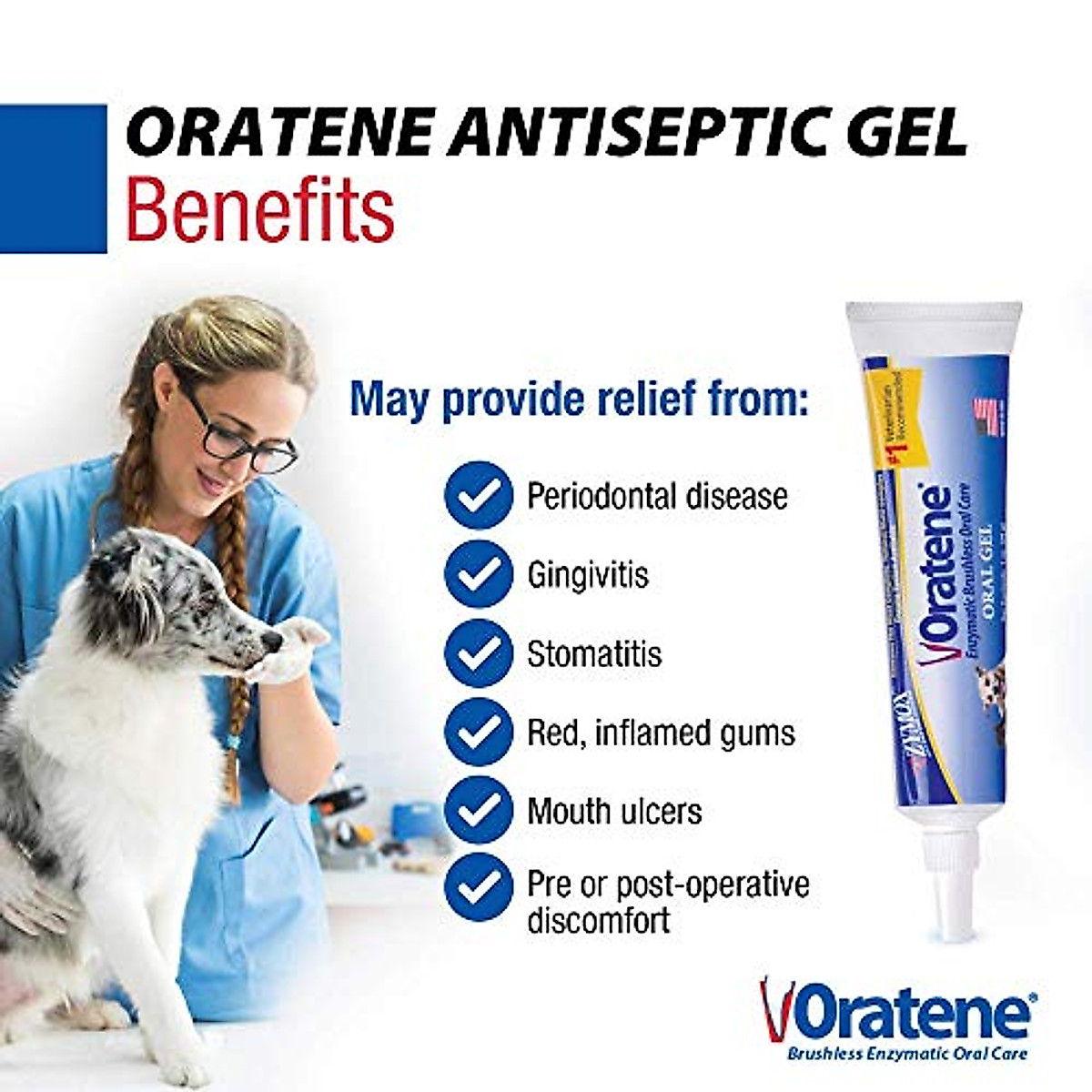 Pet King Brands ZYMOX Oratene Brushless Oral Gel for Dogs and Cats, 1oz