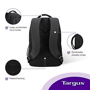 Targus Sport TSB89104US Carrying Case (Backpack) for 15.6" Notebook - Black
