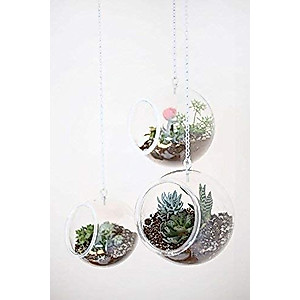 2 Clear Globe Terrarium Plastic 4.5" x 4.5" x 5,5" DIY Create Your own Hanging Planter Stand Kids Crafters Wedding Air Plants Succulents Orbs Candles + Jute tie- Steelpangal
