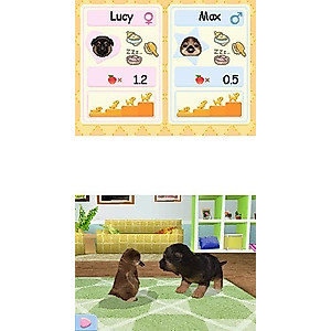 Petz Nursery 2 - Nintendo DS (Renewed)