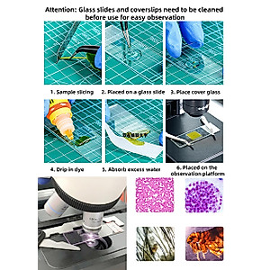 Blank Microscope Slides and Coverslips, 50Pcs Pre-Cleaned Blank Microscope Slides and 200Pcs 18mm Coverslips, for Microscopy Experiments and Analysis, Microscope Accessories. (A)