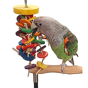 Tropical Circles - Small/Medium Parrot Wood Toy