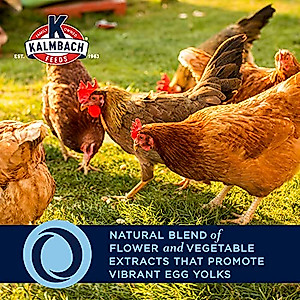Kalmbach Feeds All Natural Poultry Block, 25 Lb