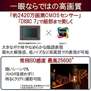 Canon mirrorless Single-Lens Camera EOS M6 Body (Black)- International Version (No Warranty)