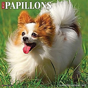 Just Papillons 2021 Wall Calendar (Dog Breed Calendar)