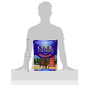 Manna Pro Cool Calories 100 | Equine Dry Fat Supplement for Healthy Weight Gain | 8 Pounds