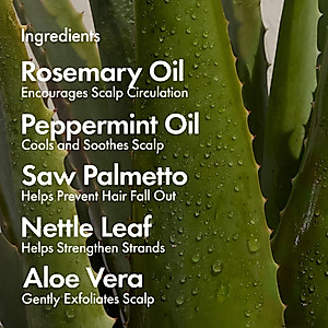 BONDIBOOST Miracle Mask 8.45 fl oz - Deep Conditioner Hair Mask for Thinning Hair Types - Promotes Thicker, Healthier, + Fuller Hair - Repair Dry Damaged Hair - Vegan + Cruelty-Free - Australian Made