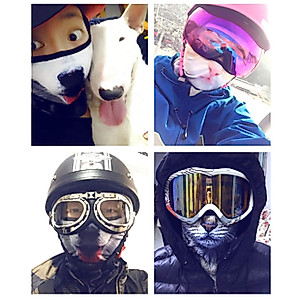 Young_Me Unisex 3D Animal Funny Balaclava Face Mask Cycling Motorcycle Skiing Snowboarding Music Festivals Halloween (Lion)
