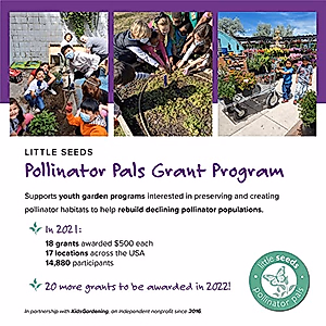 Little Seeds Raven 3-in-1 Convertible Metal Crib, JMPA Certified, Gold