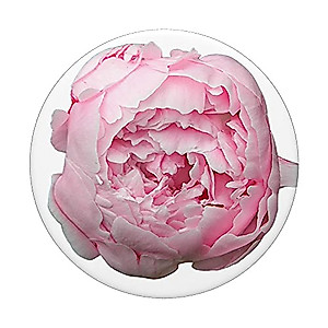 Peony PopSockets Swappable PopGrip