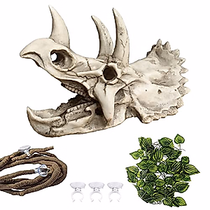 MUYG Bearded Dragon Resin Triceratops Skull Hide Decoration Reptiles Artificial Hideout Cave Landscape Tank Accessories Vines Leaves Hideaway Ornaments for Lizards Snake Gecko