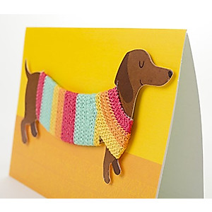 Hallmark Signature Birthday Card with Removable Dachshund Magnet (Dog in Sweater)