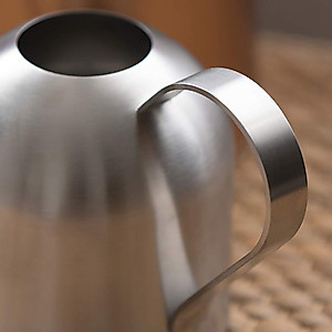 E.Palace Stainless Steel Water Can for Indoor Plants and Garden (15 oz)