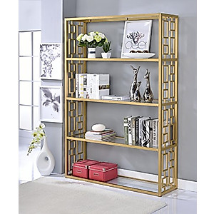ACME Blanrio Bookshelf - - Gold & Clear Glass
