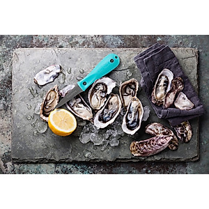 Toadfish Oyster Shucking Knife, Oyster Opener Tool, PUT 'EM BACK Oyster Knife by Toadfish