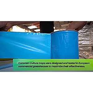 Giant Blue Sticky Traps - Tape Roll, 15cm x 100m - Insect Sticky Traps Plant Traps for Flying Insects, Fruit Fly, gnats Lantern Flies, for Garden Plant Outdoor/Indoor