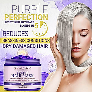 Natural Riches Purple Hair Mask and Blonde Toner for Bleached, Brassy, Platinum, Silver, Gray, or Ash Hair - Removes Yellow Tones - 16 Oz