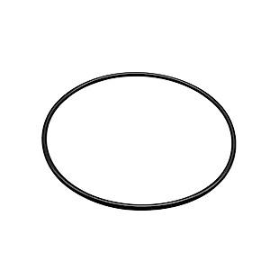 87300400 O-343 Body O-Ring for Pentair Pool & Spa Filter
