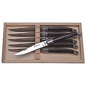Jean Dubost Laguiole 6 Steak Knives Set, Acrylic Black