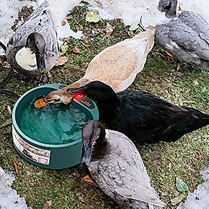 NAMSAN Heated Pet Bowl Outdoor Heated Dog Water Bowl Thermal-Bowl Livestock Heating Dish Provide Drinkable Water in Sub-Freezing Temperature for Cats, Chickens, Squirrels