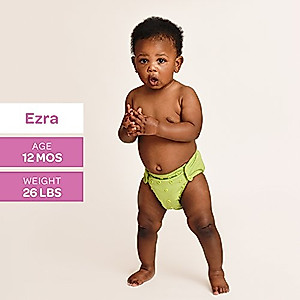 Blueberry One Size Simplex All in One Cloth Diapers, Made in USA (Picnic)