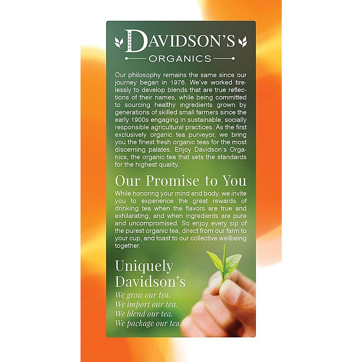Davidson's Organics, Cherry Vanilla, 25-count Tea Bags, Pack of 6