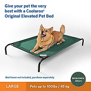 Coolaroo Replacement Cover, The Original Elevated Pet Bed by Coolaroo, Large, Brunswick Green