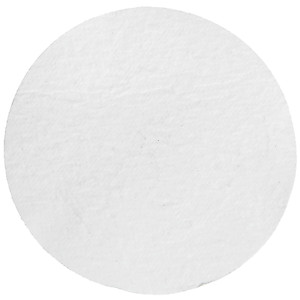 Whatman 1825-025 Glass Microfiber Binder Free Filter, 0.7 Micron, 19 s/100mL Flow Rate, Grade GF/F, 2.5cm Diameter (Pack of 100)