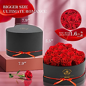 Impouo 16 Preserved Flower, Fresh Forever Roses in Heart Shape Box, Eternal Roses, Birthday Gifts for Women, Wife, Her, Mother's Day, Valentine's Day-Red Roses