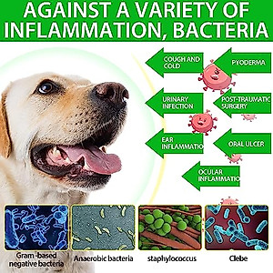 Natural Antibiotics for Dogs(2.02 Oz), Supports Dog Allergy Relief, Dog Multivitamin, Dog Antibiotic, Pet Antibiotics, Dog Itch Relief, Drops for General Strengthening, for All Breeds & Sizes
