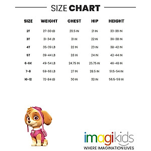 Paw Patrol Skye Birthday Toddler Girls T-Shirt Pink 4T