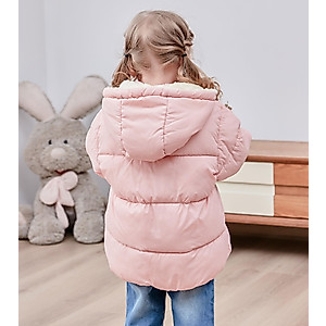 TUONROAD Toddler Coats for Girls 24 Months Baby Winter Puffer Jackets 2T 3T Kids Thicken Fleece Down Alternative Clothes 2 3 Years Cute Princess Birthday Dressing Up Zipper Hoodies Sweatshirts