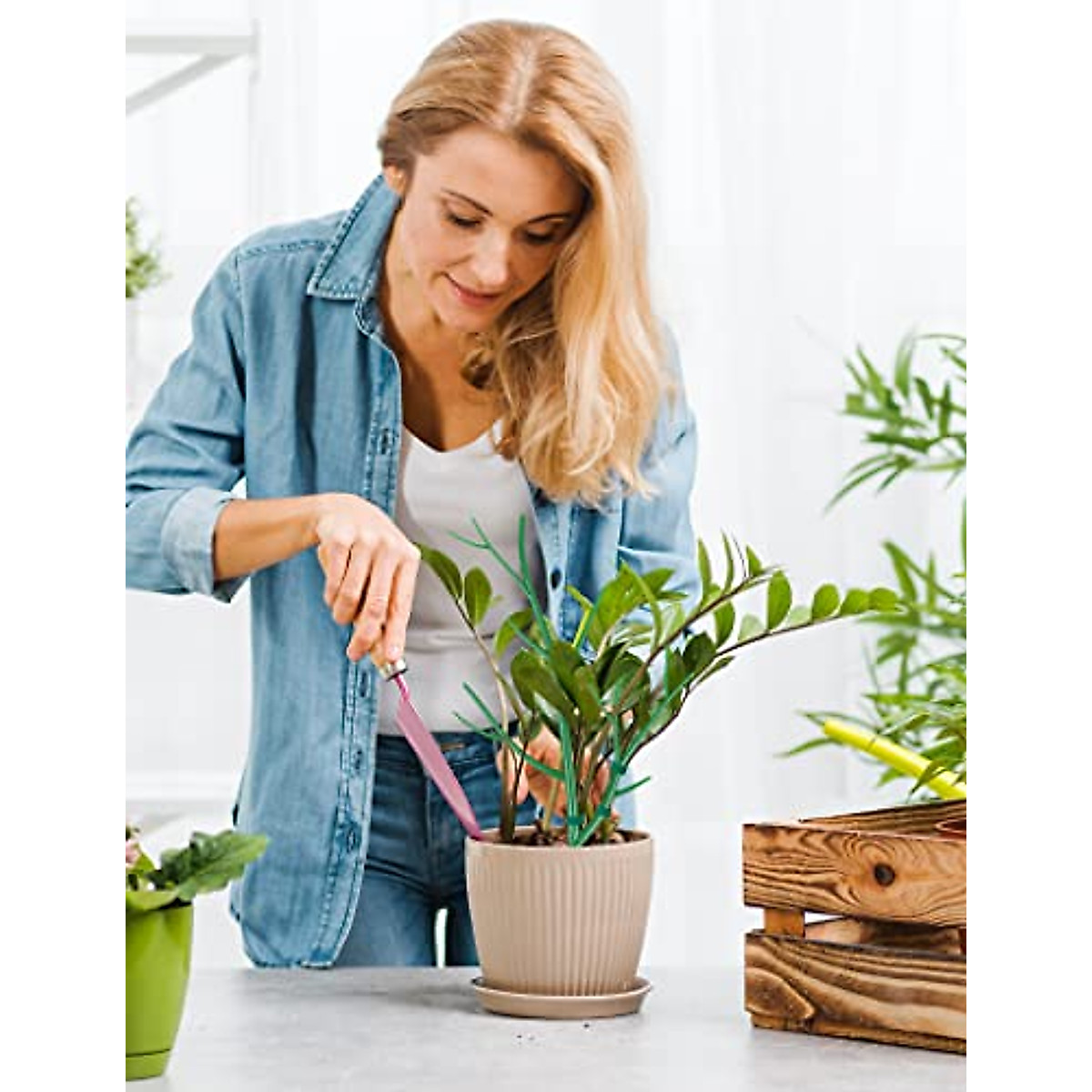 NiHome Comprehensive Plant Support Stake Set of 6 - Durable, UV Resistant 39.5" Stakes with Extension Poles, Orchid Clips & Plant Ties for Climbing Indoor & Outdoor Plants, Monstera, Pothos & More