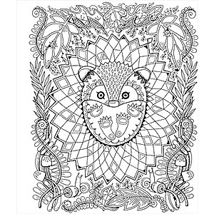 Color & Frame - In the Forest (Adult Coloring Book)