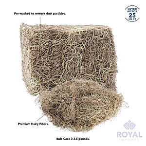 Royal Imports Preserved Natural Spanish Moss, Fresh Dried Shredded Loose Chunks, 2 LB Bulk Case