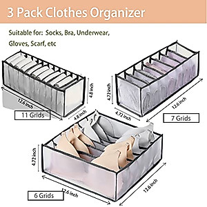 OHEMDI 3 Pcs Wardrobe Underwear and Socks Organizer and Drawer Organizer for Small Size Foldable Clothes for Women and Men