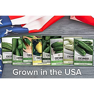 Cucumber Seeds for Planting Outdoors 8 Variety Pack Burpless Tendergreen, Beit Alpha, Marketmore 76, Armenian, Boston Pickling, Lemon, Spacemaster, Straight Eight Veggie Seeds by Gardeners Basics