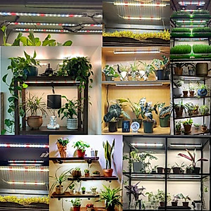 Plant Grow Light 6 Packs T5＆Full Spectrum 3500K 6500K＆Red LED with Auto Cycle Timer 3/6/12Hours Dual Channel 4 Brightness Level Growing Lamp for Indoor Plants from Seeding to Harvest