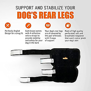NeoAlly - 3-in-1 Long Rear Leg Hock Brace, Dog Leg Brace for Rear Leg with Rigid & Spring Inserts, Hock and Ankle Support, Dog Leg Sleeve with Reflective Straps, XL, 1 Pair