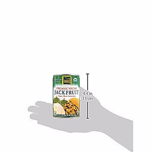 Native Forest Organic Young Jackfruit – Great Meatless Alternative, Plant Based Meat, Non-GMO Project Verified, USDA Organic – Original, 14 Oz (Pack of 6)